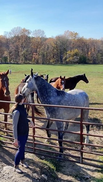 Cynisca: The Spartan Princess Who Was the First Female to Win an ...