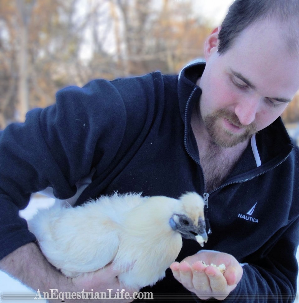 Fluffers - An Equestrian Life