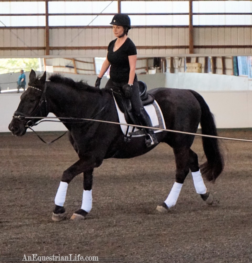 Lunging and Long Lining Clinic: Rider Position - An Equestrian Life