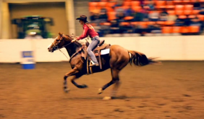 Rodeo Girl (2016) - A Movie Overview - An Equestrian Life