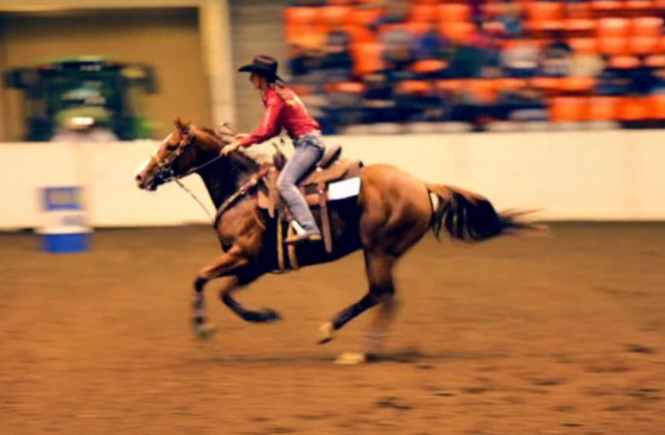 Rodeo Girl (2016) - A Movie Overview - An Equestrian Life