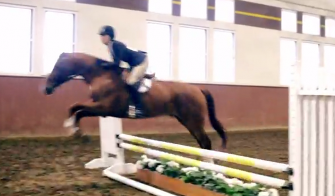 Rodeo Girl (2016) - A Movie Overview - An Equestrian Life