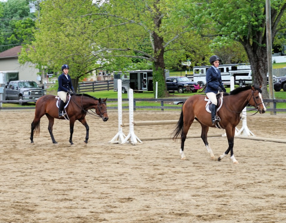 TWA Hunter Show - An Equestrian Life