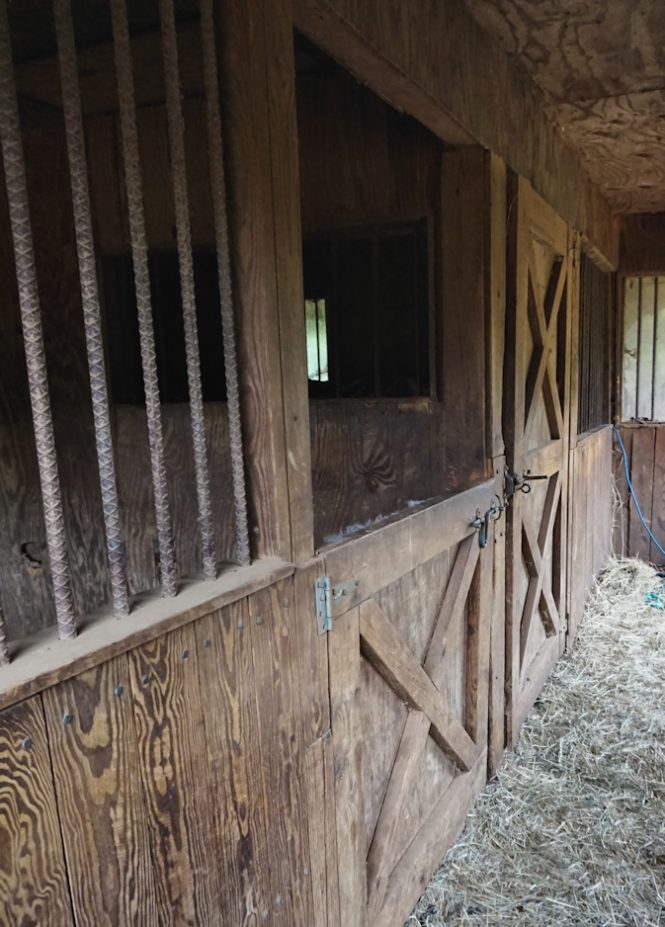 Property Tour - An Equestrian Life