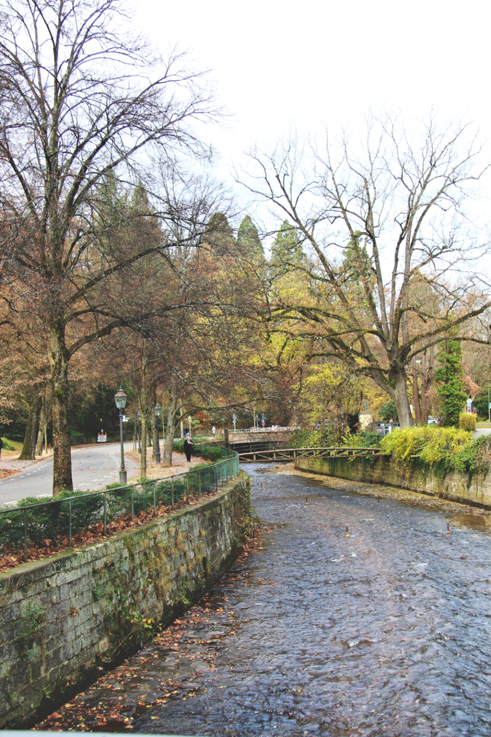 Baden-Baden, Germany - An Equestrian Life