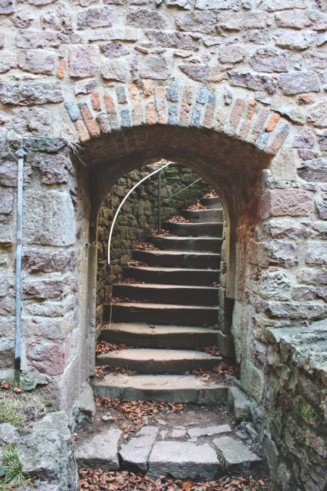 stairs - An Equestrian Life