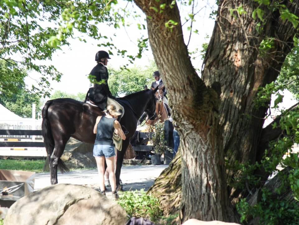 Upperville Has Started - An Equestrian Life