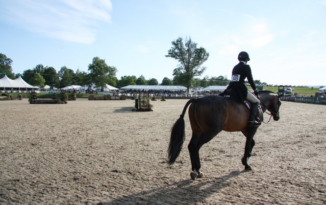 Upperville Has Started - An Equestrian Life