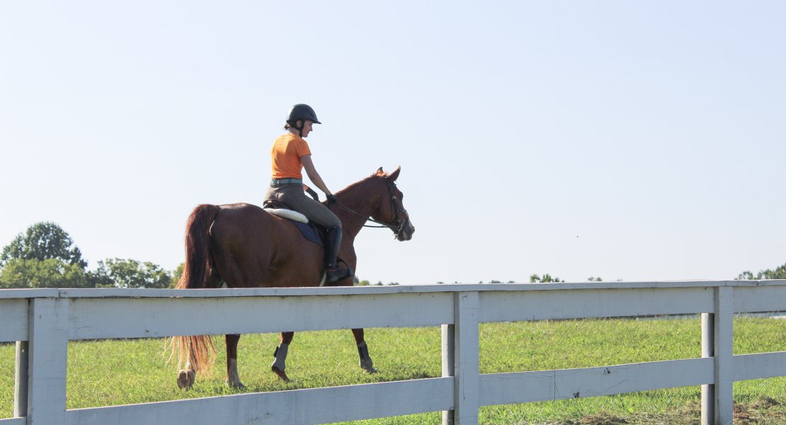 Struggling to Fit In at the Barn? - An Equestrian Life
