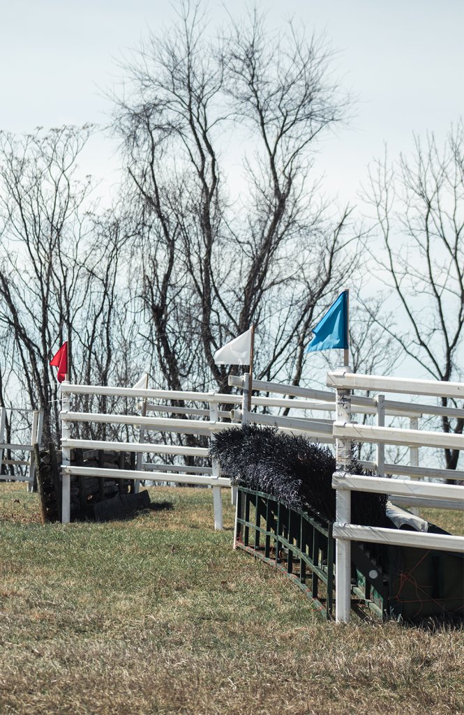 What is Steeplechase? - An Equestrian Life