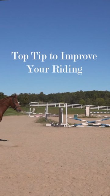 A Guide to English Riding Show Jackets - An Equestrian Life