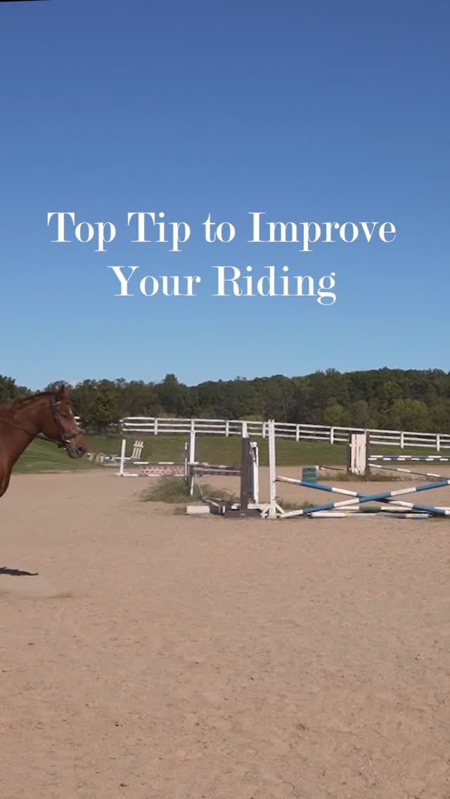 The Heavenly Horses of Ferghana - An Equestrian Life