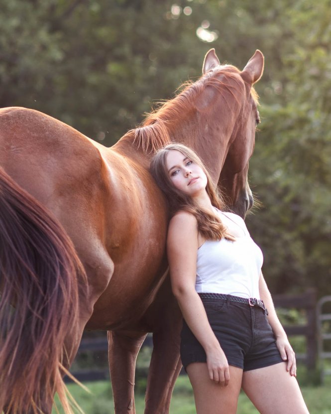 Dreamy Golden Hour Horse Photo Shoot - An Equestrian Life