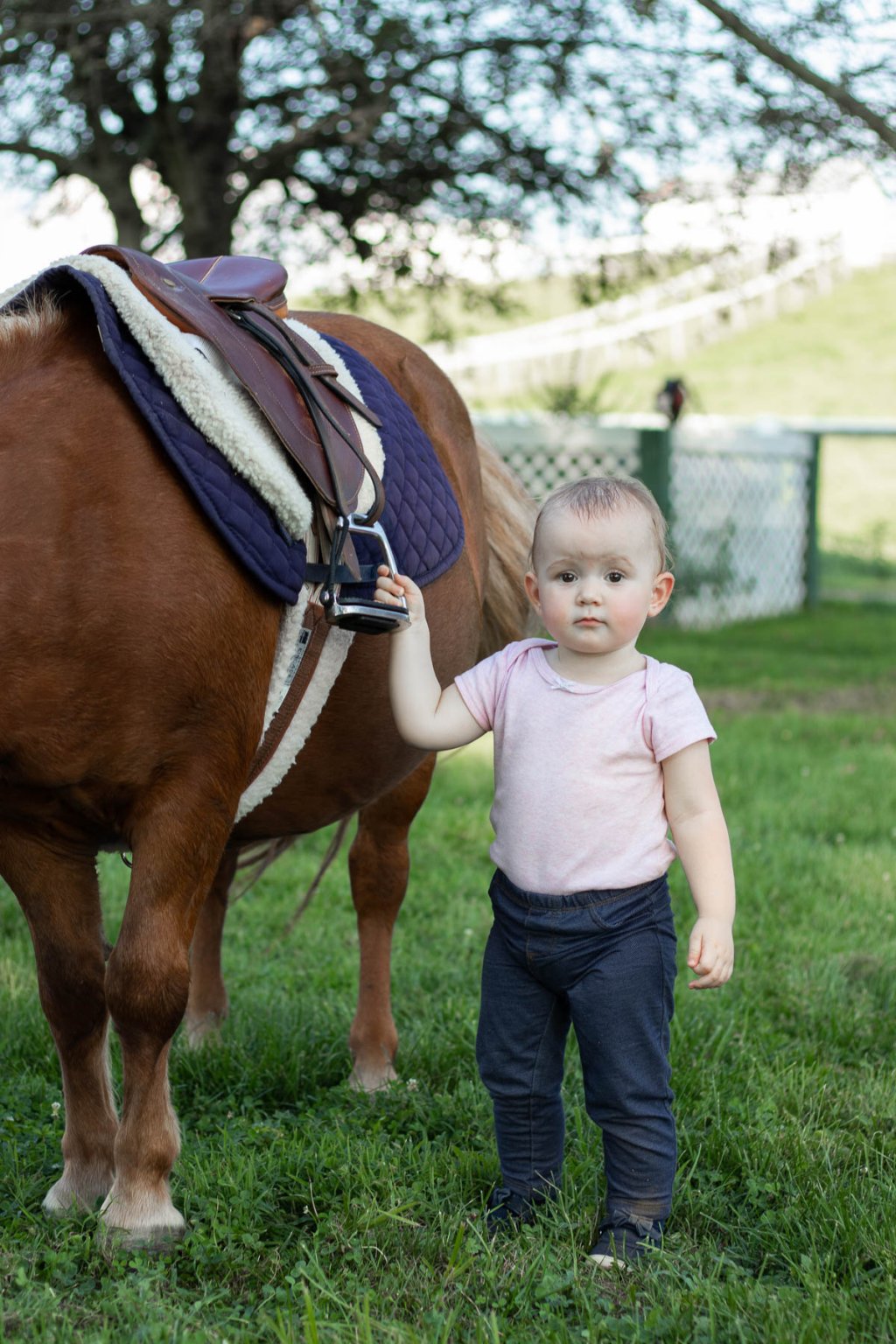 Baby's First Pony Ride - An Equestrian Life