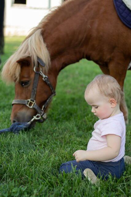 Baby's First Pony Ride - An Equestrian Life