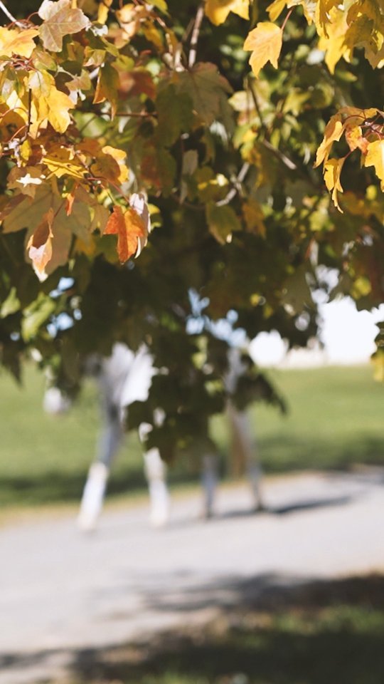 Cynisca: The Spartan Princess Who Was the First Female to Win an ...