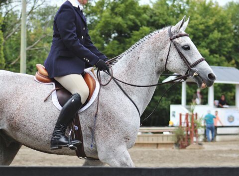 A Guide to English Riding Show Jackets - An Equestrian Life