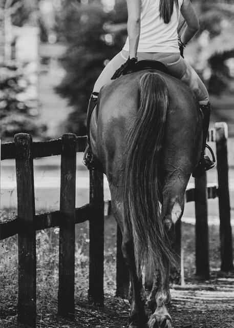 What Progress Should I Expect as a Beginner Rider? - An Equestrian Life