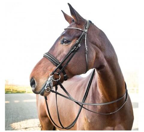 The Different Styles of English Bridles - An Equestrian Life