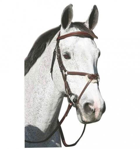 The Different Styles of English Bridles - An Equestrian Life