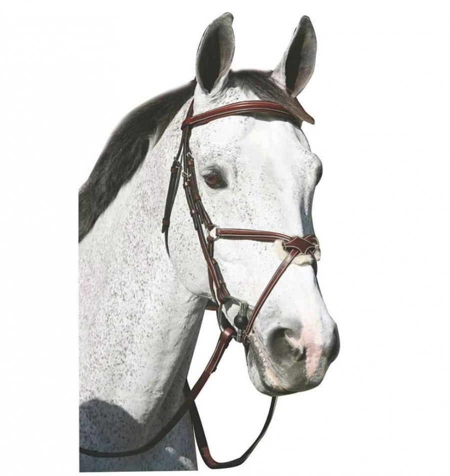 The Different Styles of English Bridles - An Equestrian Life