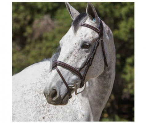 The Different Styles of English Bridles - An Equestrian Life