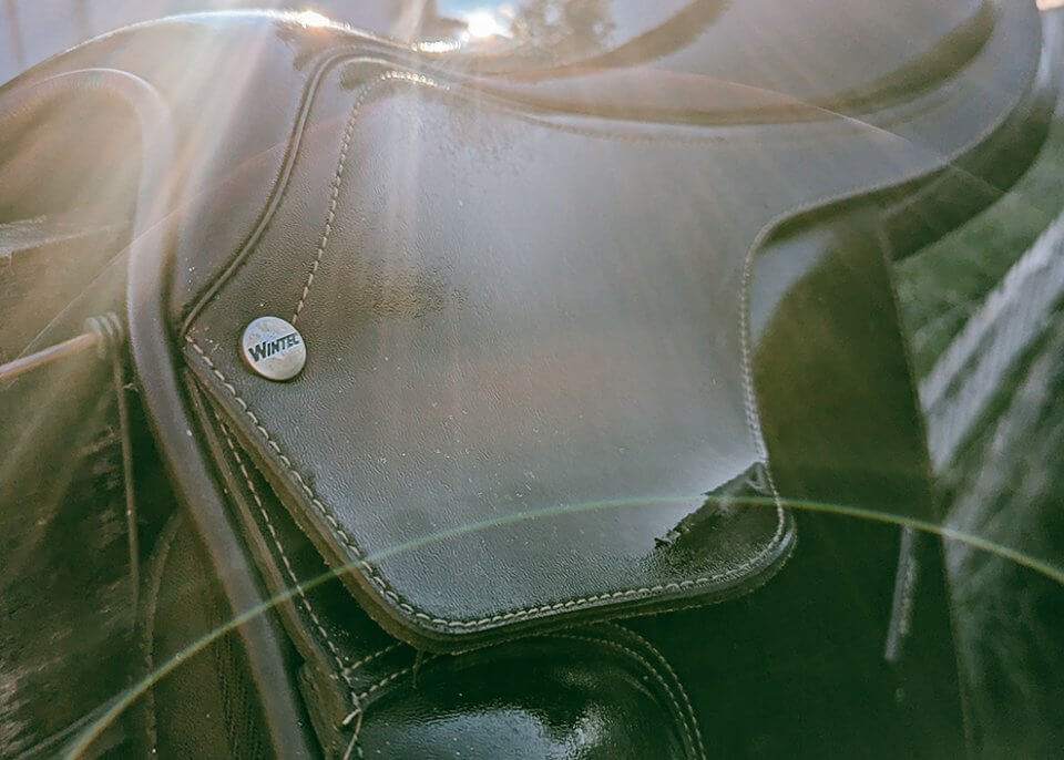 Wintec Close Contact - A Review and Story - An Equestrian Life