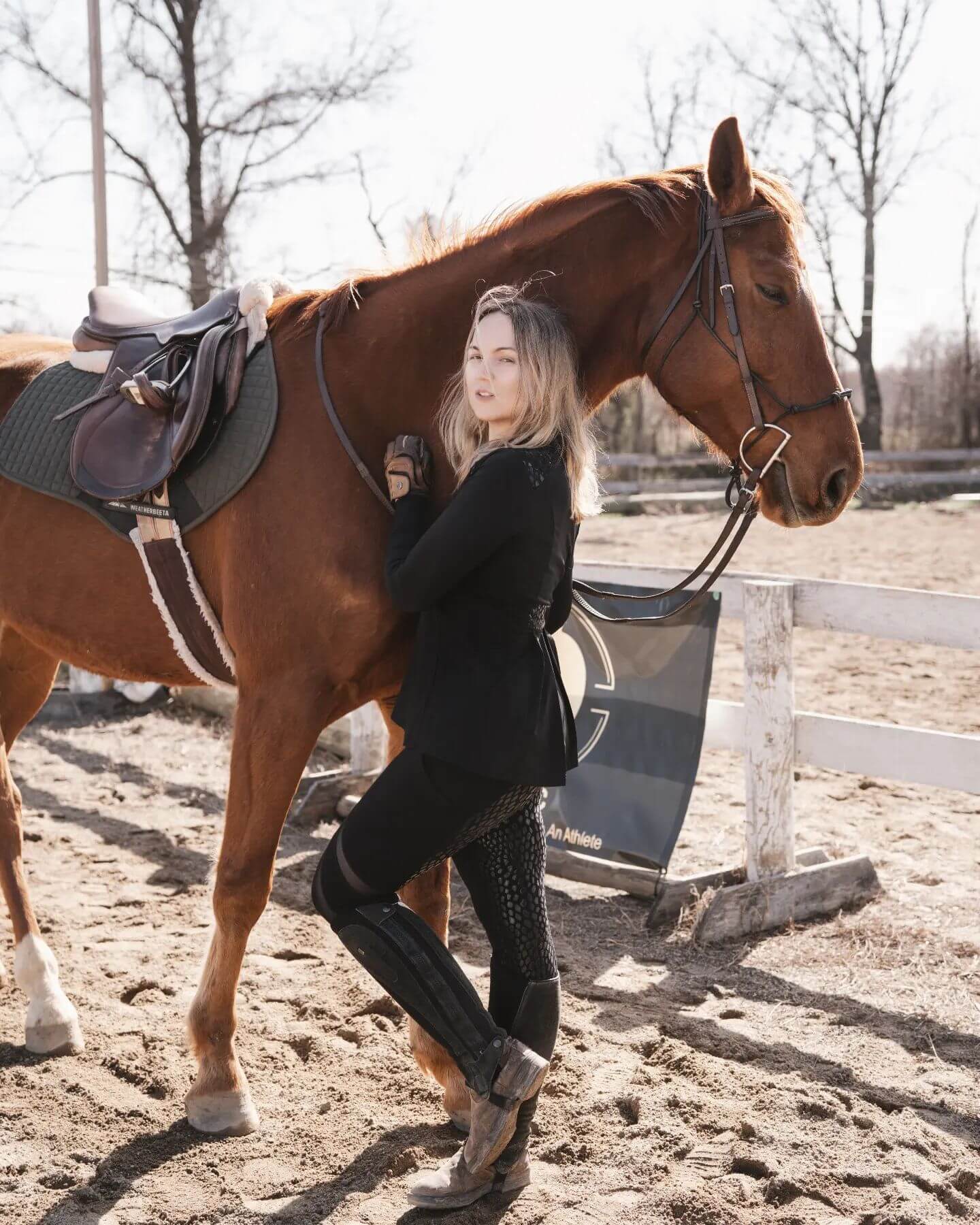 Photo Ideas to Take of Your Horse - An Equestrian Life