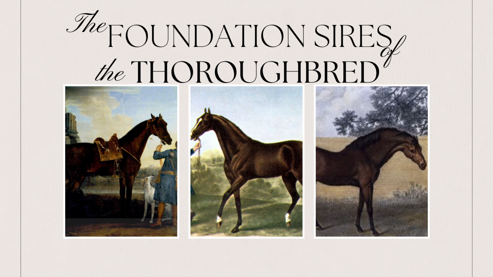 The Foundation Sires of the Thoroughbred - An Equestrian Life