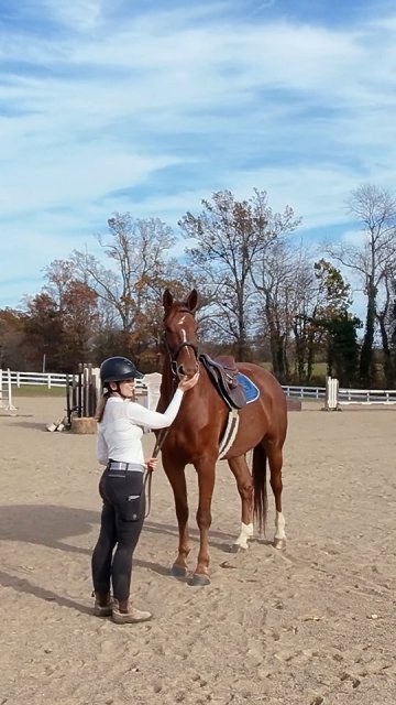 Cynisca: The Spartan Princess Who Was the First Female to Win an ...