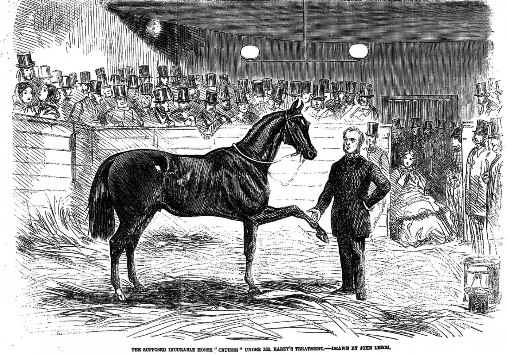John Solomon Rarey, The Original Horse Whisperer - An Equestrian Life