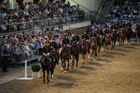 The Most Prestigious Riding Schools in the World - An Equestrian Life