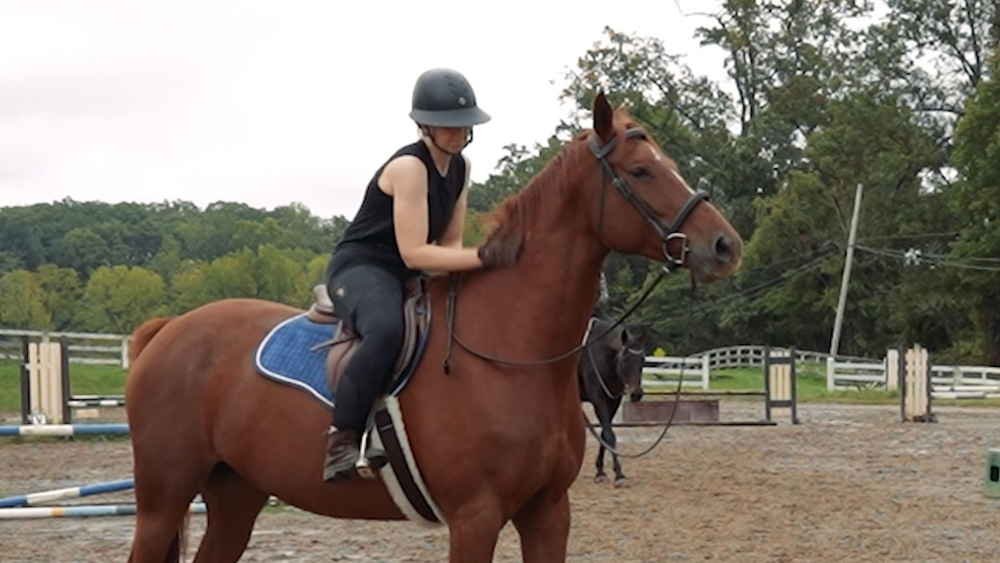 Building Up Riding Confidence - An Equestrian Life