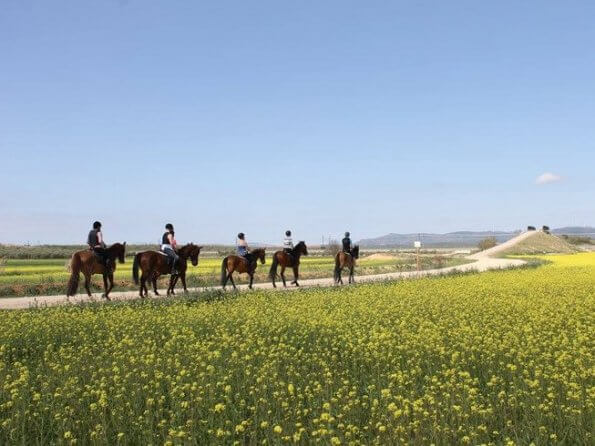 Cynisca: The Spartan Princess Who Was the First Female to Win an ...