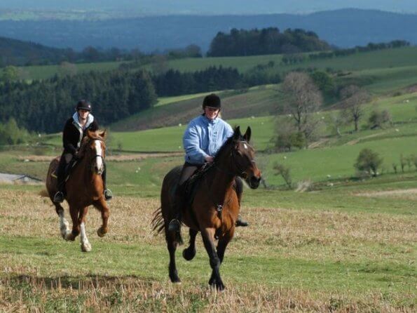 The Best Books for Learning to Ride - An Equestrian Life