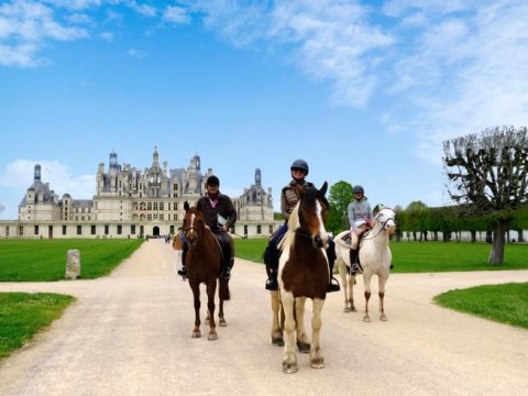 The Most Prestigious Riding Schools in the World - An Equestrian Life