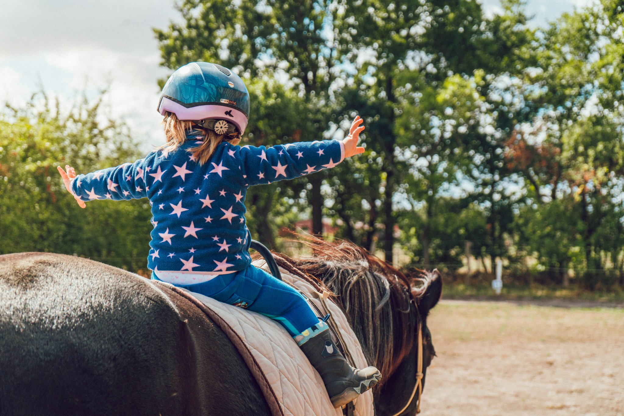 how to start child horse riding - An Equestrian Life