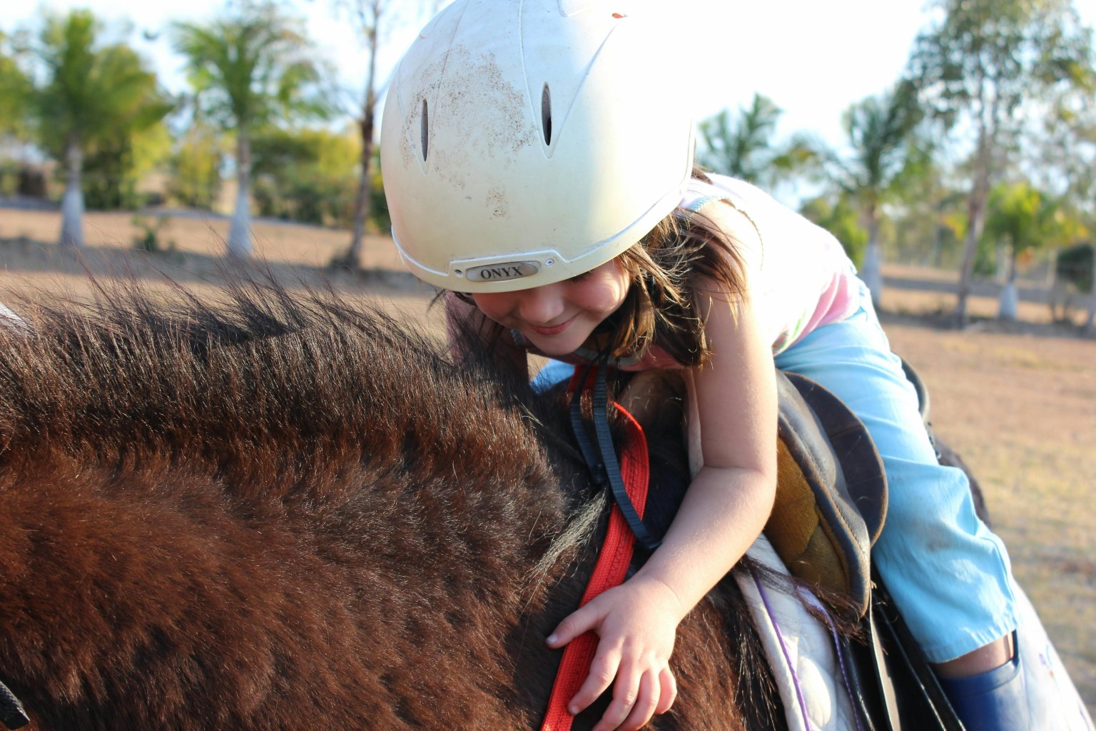 My Child Wants to Ride Horses, Where Do I Start? - An Equestrian Life